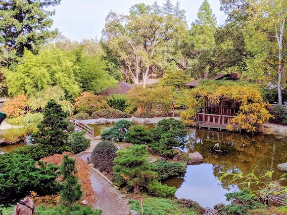 7 Short Seasonal Trips From Sunnyvale: Wildflowers, Fall Color, and ...