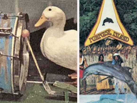 After 40 Years, This Attraction Is Bringing Polynesian Culture Back to ...
