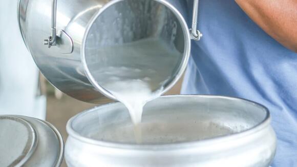 9 benefits raw milk supporters point to as debate grows over taste ...