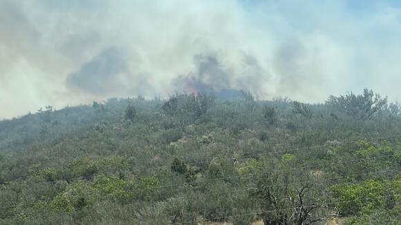 Human-caused Tower Fire grows to nearly 1,300 acres near Scipio - NewsBreak