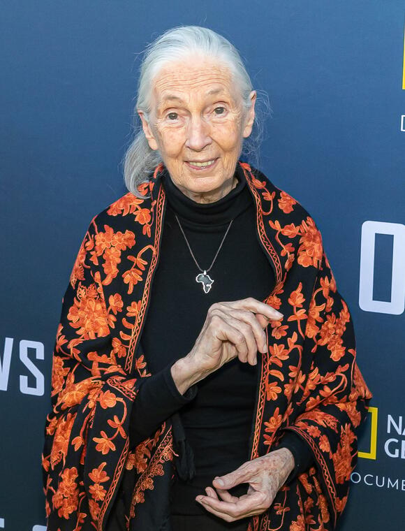 Jane Goodall Shares Her Final Message Of Hope In Netflix’s ‘Famous Last ...