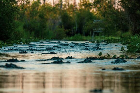 These 18 Georgia spots are considered the 'most beautiful' must-visit ...