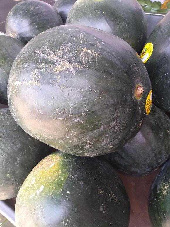 Things to Know Before You Put Watermelon in Your Grocery Cart - NewsBreak