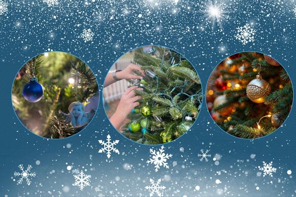 Tuscaloosa’s Tinsel Trail Shines Through New Year - NewsBreak