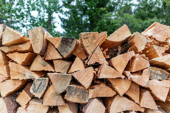 This Firewood Law Will Impact All of WNY This Summer - NewsBreak