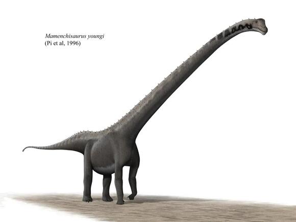 10 Mind-Blowing Discoveries About Dinosaur Behavior That Changed ...