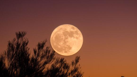 2026 Full Moons: Dates and Names to Track - NewsBreak