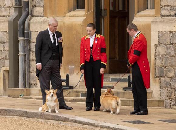Another royal once threatened the queen's corgis - NewsBreak