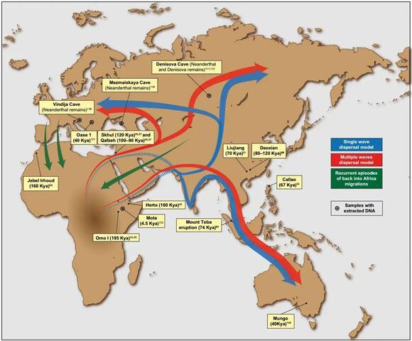 Ancient Human Migrations: Tracing the Footsteps of Our Earliest ...