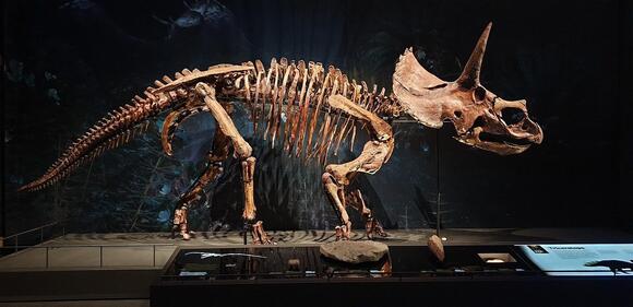 Unearthing North America’s Giants: The Dinosaurs That Roamed Your ...