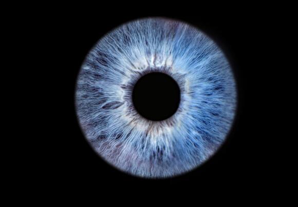 Human eyes can be traced back to an ancient ‘cyclops’ ancestor - NewsBreak