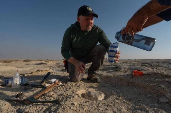 Researchers Just Discovered A New Prehistoric Sea Cow Species That ...
