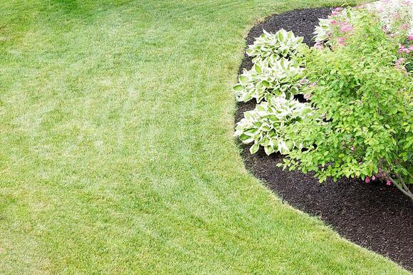 When Should You Stop Mowing Your WA Lawn in the Fall? - NewsBreak
