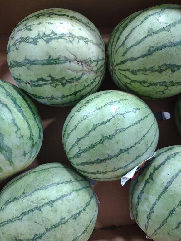 Things to Know Before You Put Watermelon in Your Grocery Cart - NewsBreak