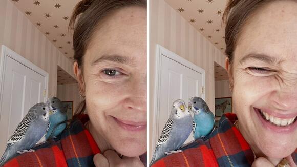 Drew Barrymore Debuts Her Adorable New ‘Family Members’ on Instagram ...