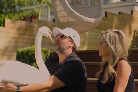 Florida couple adopts swan named Lola who ‘completely changed’ their ...