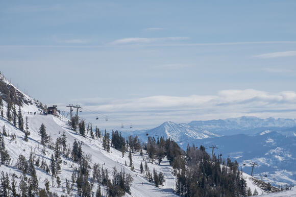 Jackson Hole Auctioning Iconic Sublette Chairs for Charity - NewsBreak