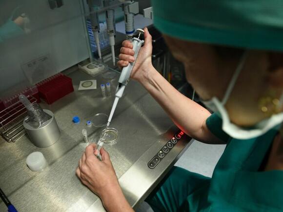 Creating a sperm or egg from any cell? Reproduction revolution on the ...