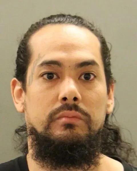 Court docs reveal new information about Red Lion van driver charged ...