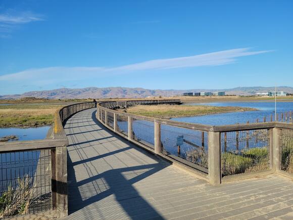 6 Easy Bay Trail Walks Near Sunnyvale, Made for Sunset Dates - NewsBreak