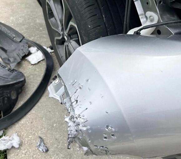 Dogs cause $3,000 in damage after tearing apart car while chasing cat ...