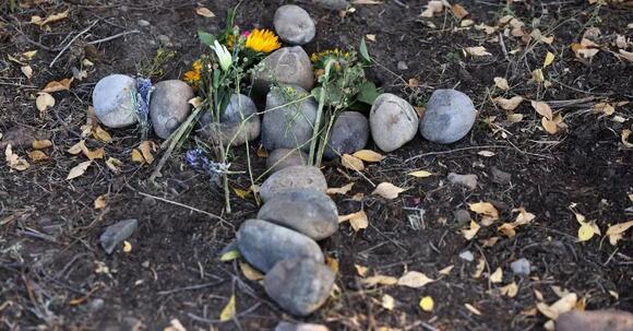 The Chilling Crime Scene Photos Where Gabby Petito Was Brutally ...