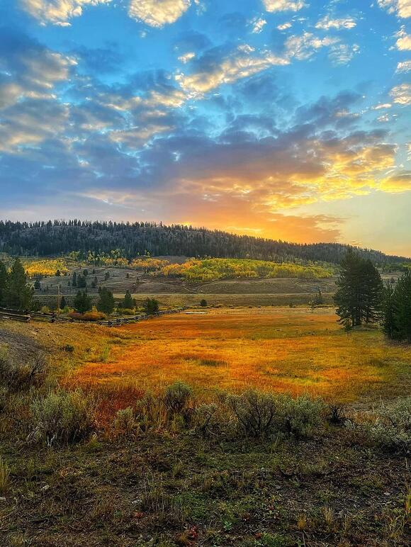Wyoming's National Ranking For Hosptial Cleanliness - NewsBreak