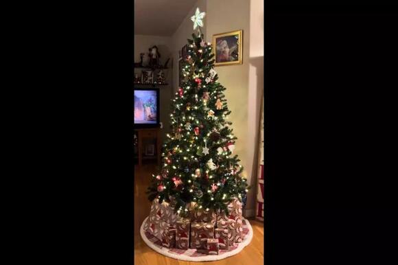 Real Or Fake: Christmas Trees Colorado Buys Most - NewsBreak