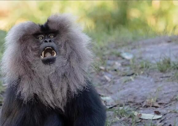 How to Know if a Utah Cat Is a Pet or Wild - NewsBreak