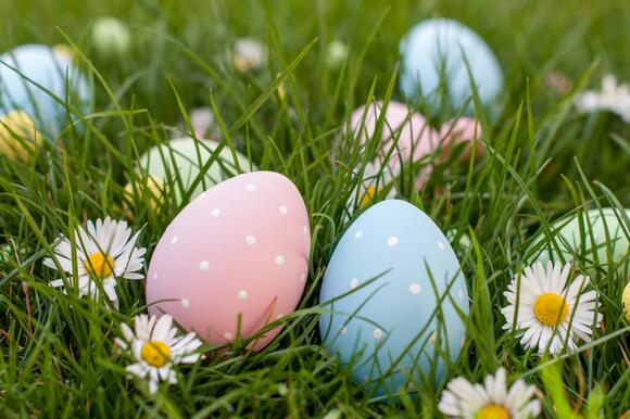 Easter Events in Washington State 2026 - NewsBreak