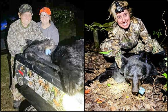 DNR Reports Massive Bears in the Upper Peninsula - NewsBreak