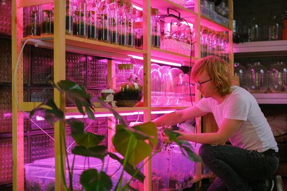 How Genetic Modification is Changing the Future of Conservation - NewsBreak