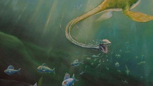 Cretaceous Seas: The Era’s Strangest and Largest Marine Animals - NewsBreak