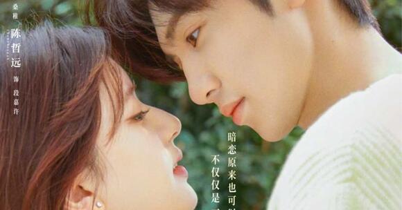Hidden Love Chinese Drama Hindi-Dub: Where To Watch the Dubbed Episodes ...