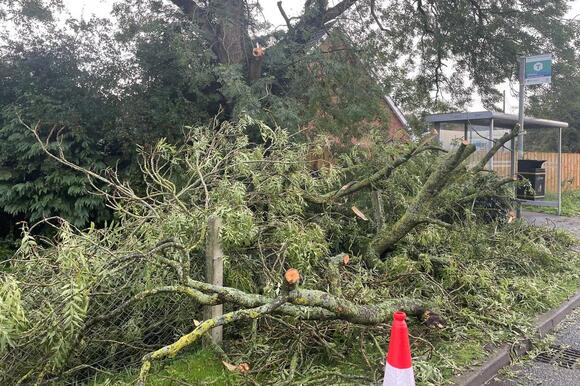 34,000 homes left without power as Storm Amy sweeps country - NewsBreak