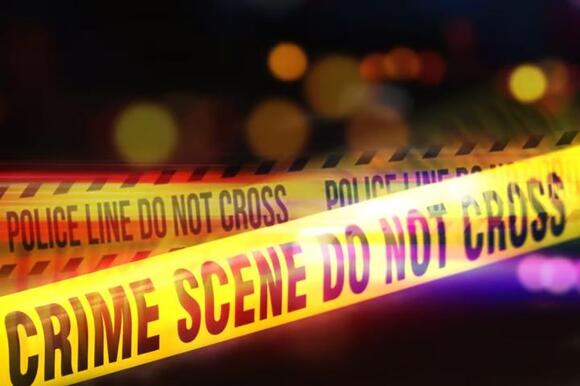 A Dark Chapter In The Silver Story: Abducted Vizsla Workers Found Dead ...