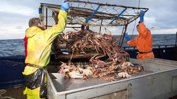 Will ‘Deadliest Catch’ Return for Season 22? - NewsBreak
