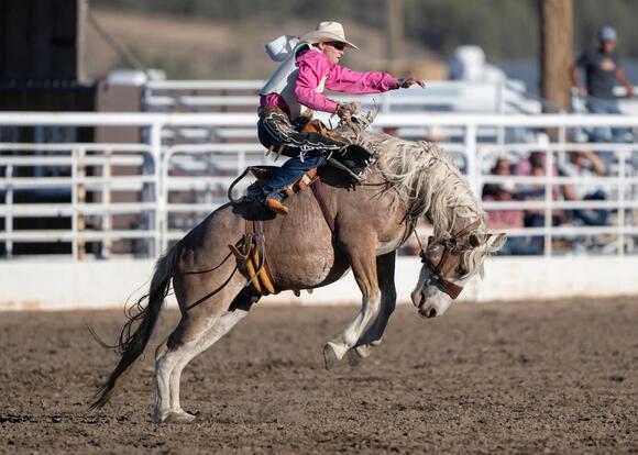 Justin England wins state title in saddle bronc - NewsBreak