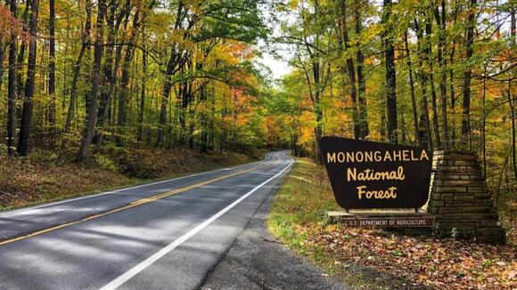 Proposed Fee Changes on Monongahela National Forest
