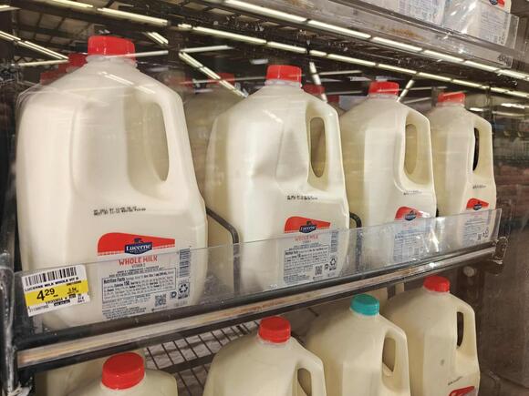 Revealing Where Your Milk In Montana Comes From - NewsBreak