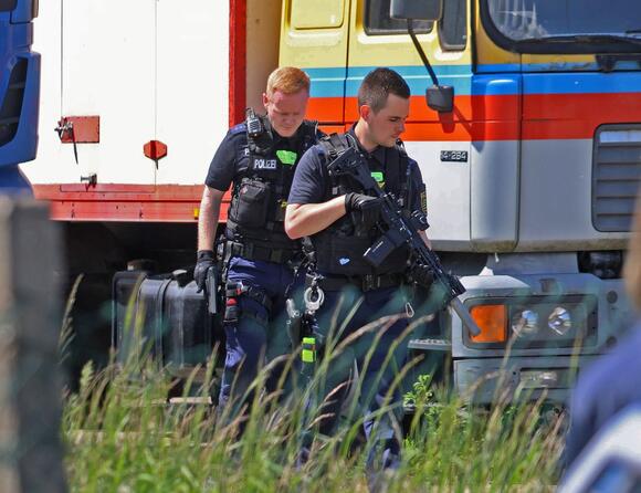 German police kill escaped tiger, one animal handler seriously injured ...