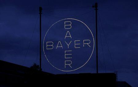 Bayer sued for allegedly monopolizing US market for GMO corn seeds ...