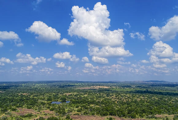 Best Urban Hiking Trails in The US - NewsBreak