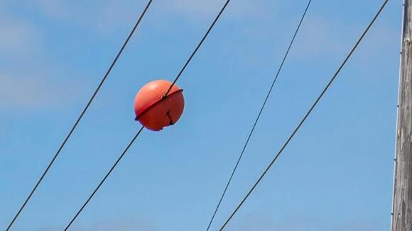 The real reason power lines have those mysterious orange balls - NewsBreak