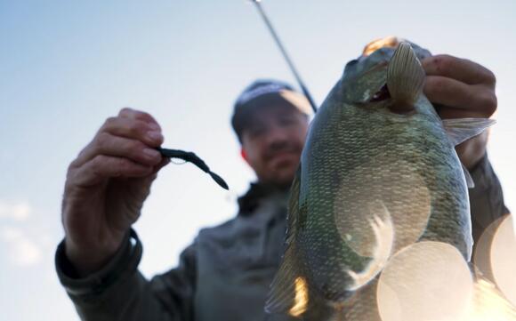 Top 10 Winning Baits From Bass Pro Shops REDCREST 2026 On Table Rock ...