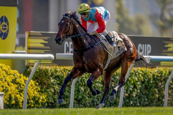 Old guys rule in $3 million Pegasus Word Cup - NewsBreak