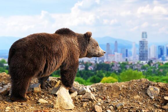 Tracking data shows how wild animals respond to human presence and ...