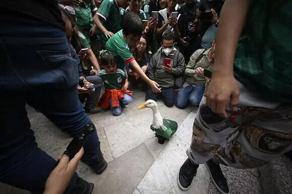 Merlin the duck achieves viral fame as Mexico's World Cup "ambassador ...