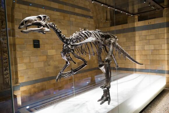 Beyond the Asteroid: New Evidence Shows Dinosaurs Faced Many Extinction ...