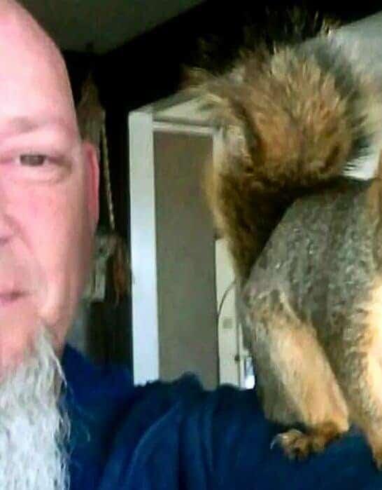 Squirrel Attacks Burglar In Idaho - NewsBreak